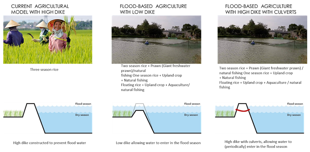 Improving natural floodplain dynamics | WWF